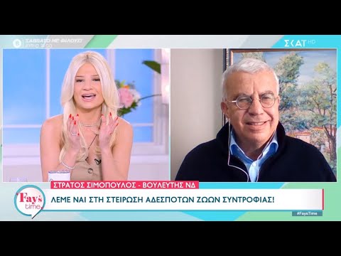 ΛΕΜΕ ΝΑΙ ΣΤΗ ΣΤΕΙΡΩΣΗ ΑΔΕΣΠΟΤΩΝ ΓΑΤΙΩΝ - YouTube