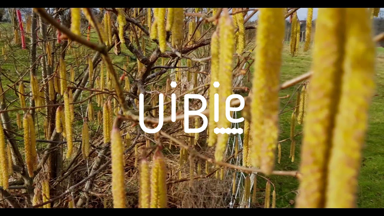 Uibie : apiculture en Normandie - YouTube