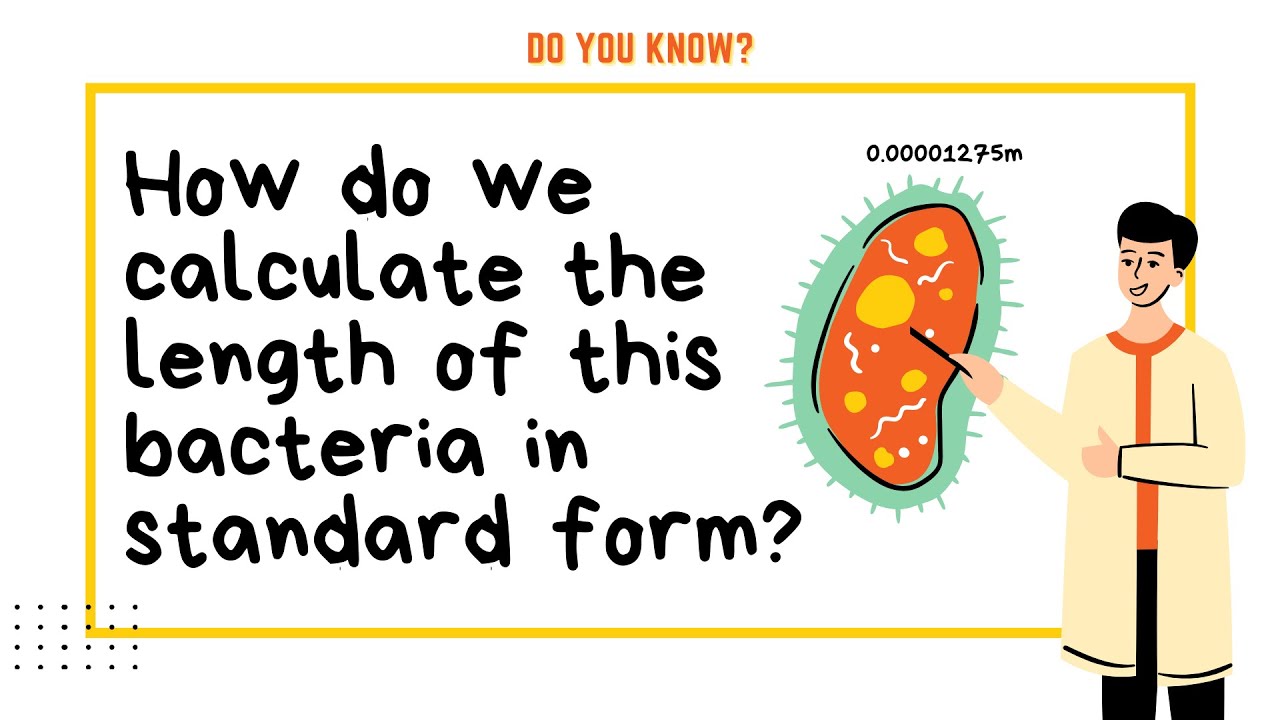 How do we calculate the length of this bacteria in standard form? - YouTube