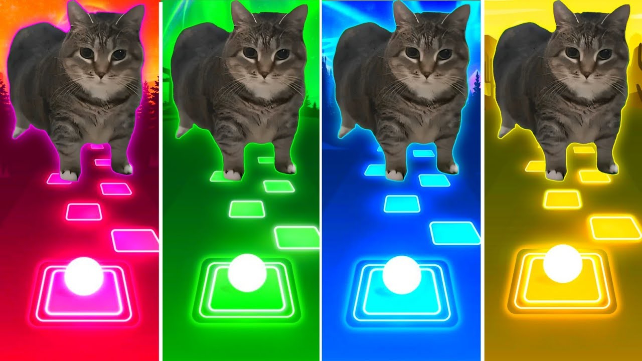 Oiiaoiia Cats - Tiles Hop EDM Rush - YouTube