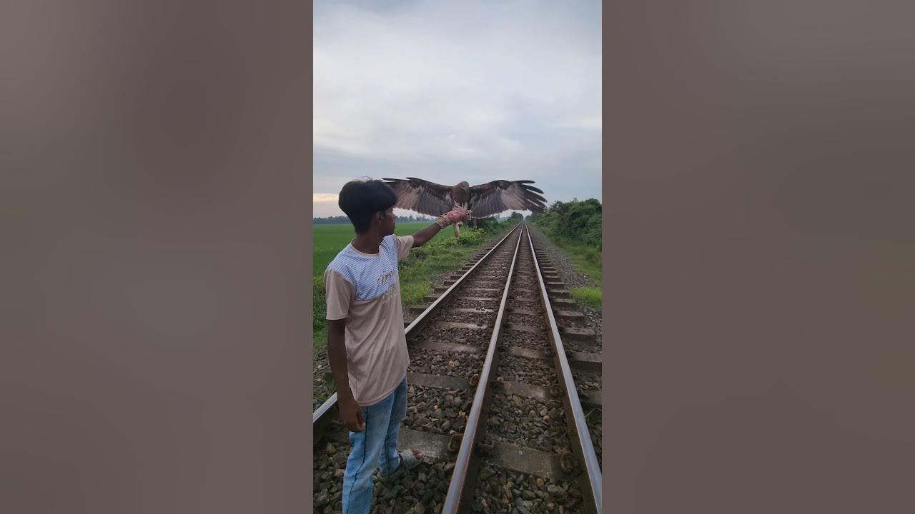 apnader ki bissas hoy #foryou #comedy #shorts #viralvideo, 🦅🥰 - YouTube