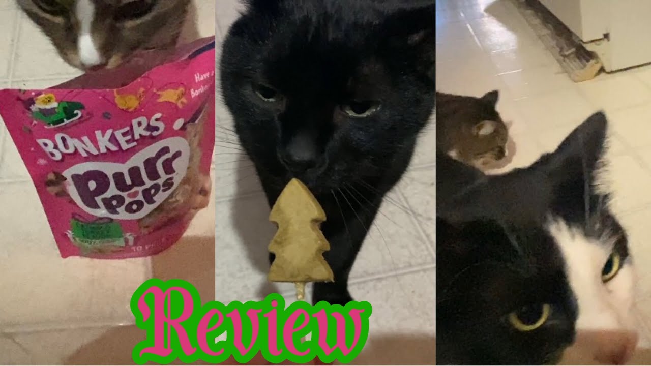 Cats Review Bonkers Catnip and Turkey Flavor Christmas Tree Purr Pops ...