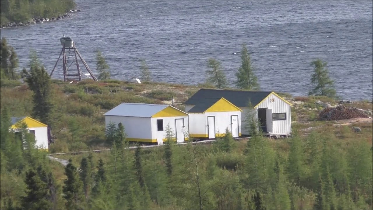 First Time In Caribou Country - YouTube