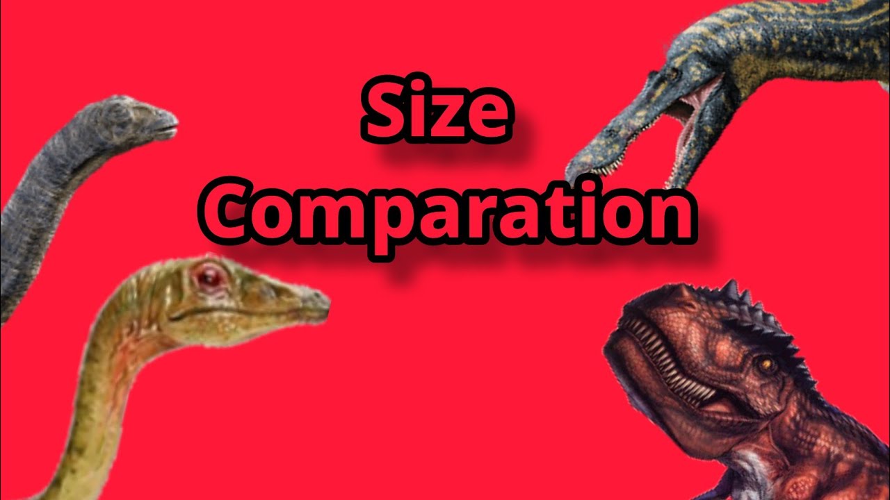 "Size comparation " - YouTube