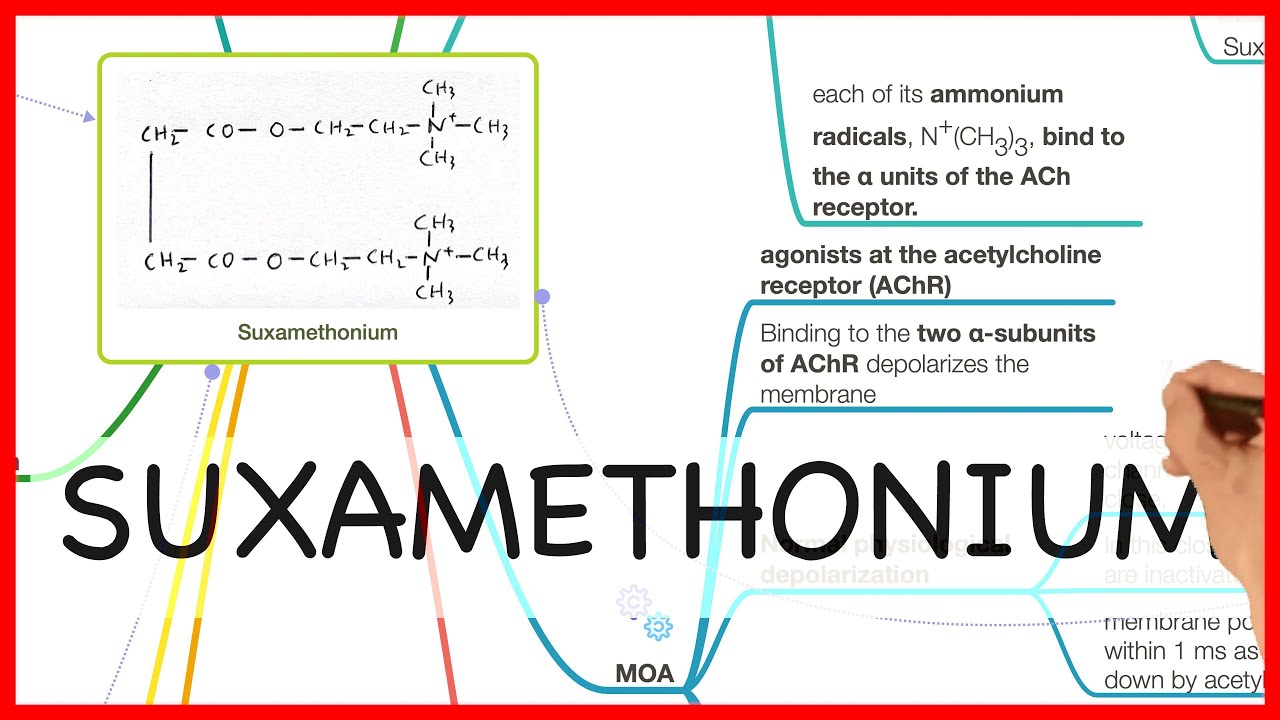 SUXAMETHONIUM -PHARMACOLOGY SERIES - YouTube