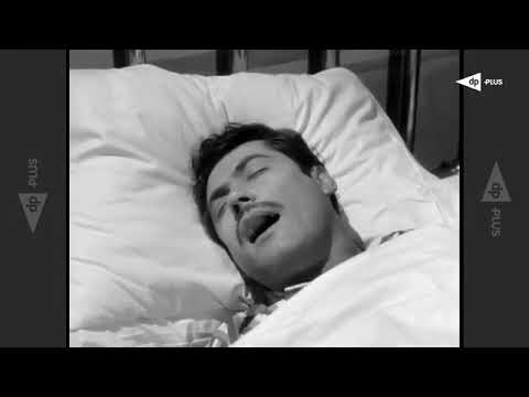 Gran pelicula del piporro Heroe ala fuerza