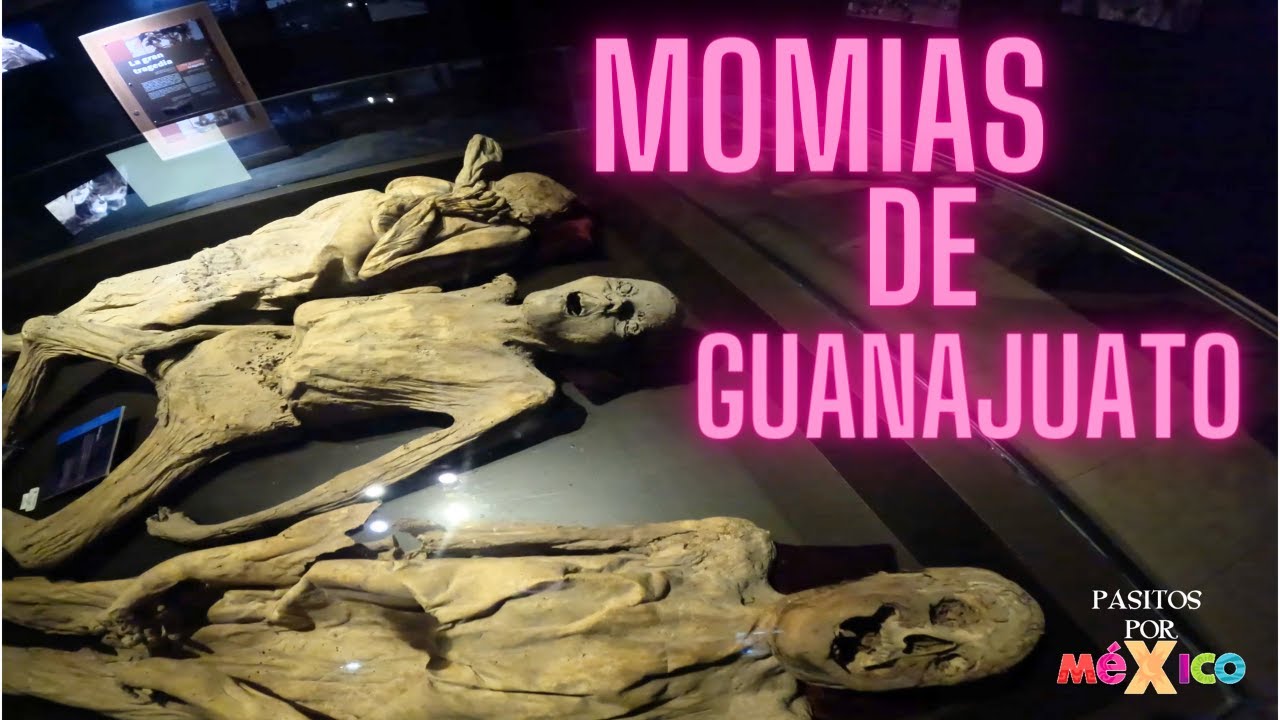 LAS MOMIAS DE GUANAJUATO icreibles HISTORIAS - YouTube