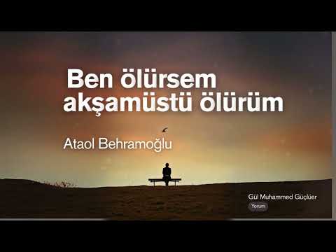 Ataol Behramoğlu | Ben Ölürsem Akşamüstü Ölürüm | Şiir