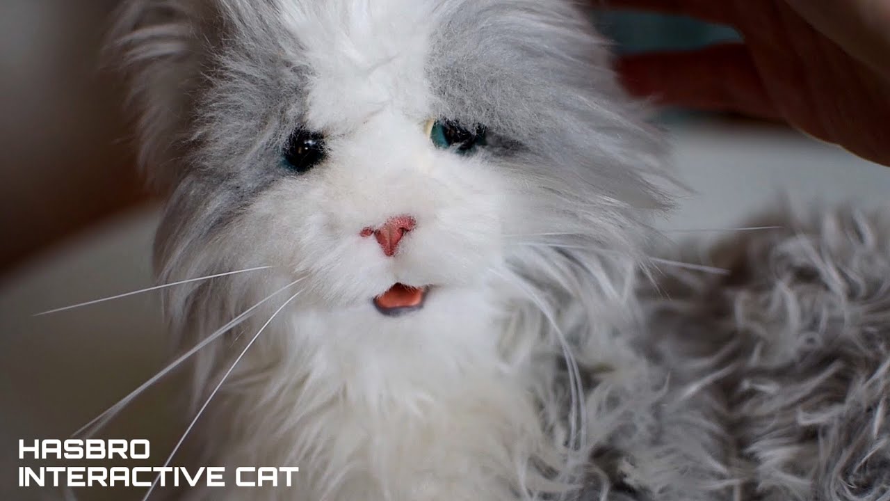 HASBRO Interactive Cat Short Overview / Kort Overzicht - YouTube