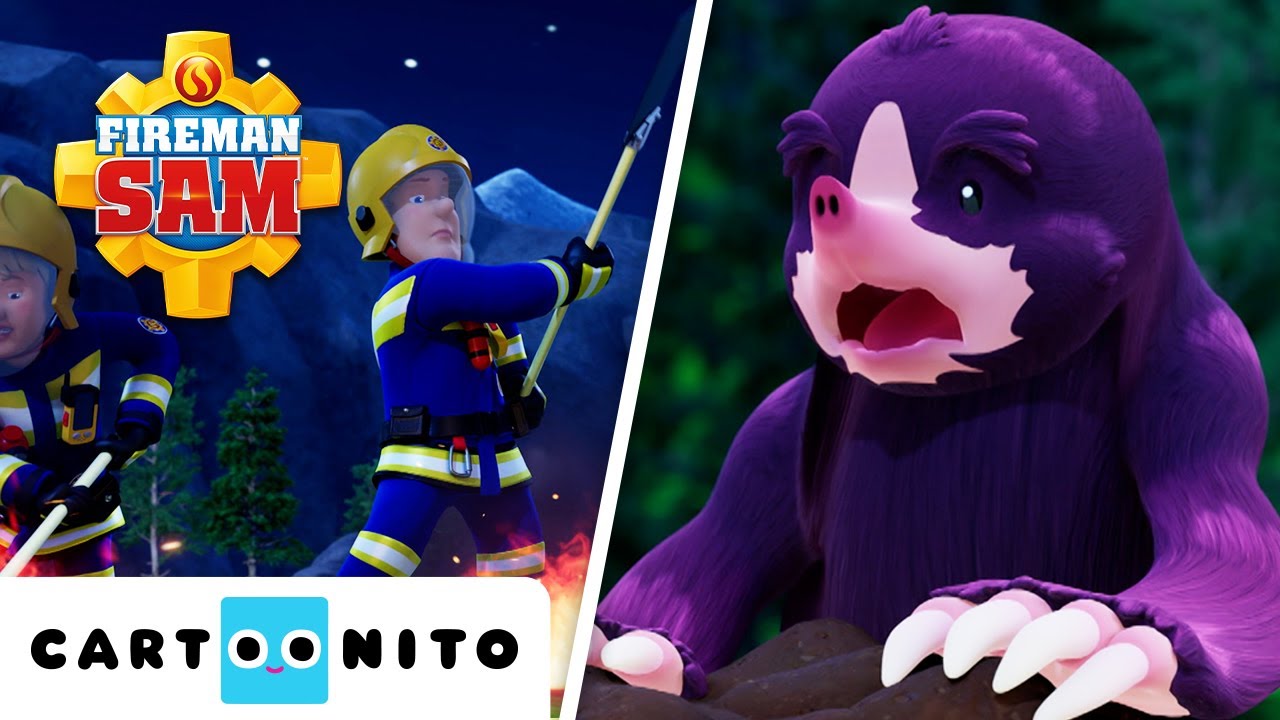Golf Course Wildfire! | Fireman Sam | @cartoonito - YouTube
