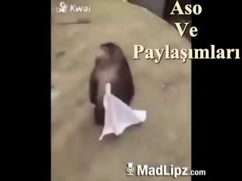 Kürtçe Dublaj Zıkemın Deşe Ez Mırım  Eski Hesabımız Kapandı Lütfen Yenisini Takip Ediniz TEK GERÇEK