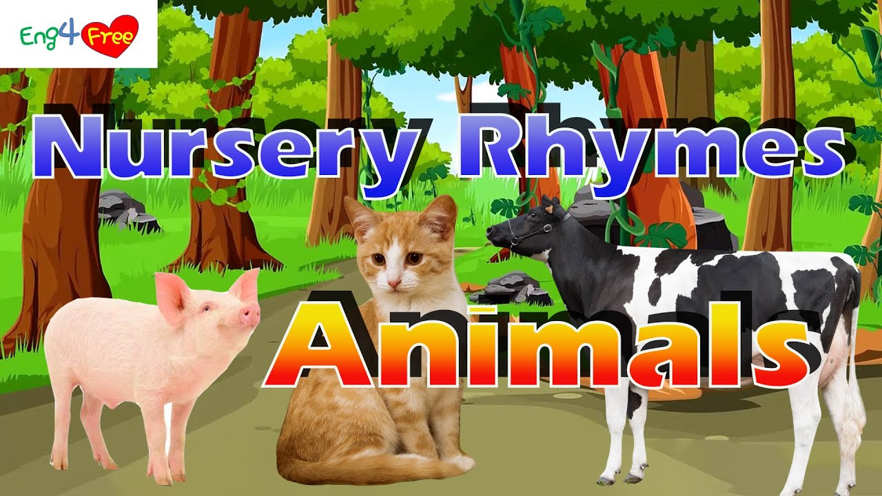 Learning English For Free With Animals - Lesson 2 - YouTube