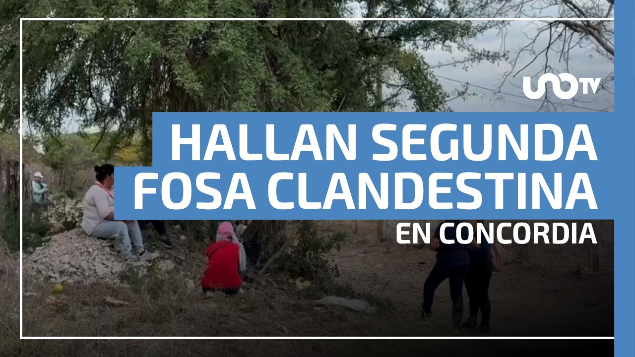 Hallan segunda fosa clandestina en Concordia - YouTube