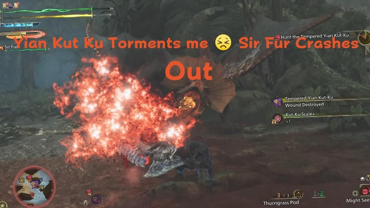Monster Hunter Wilds Kut Ku Tail Torment 😤 SiFur Crashes Out - YouTube
