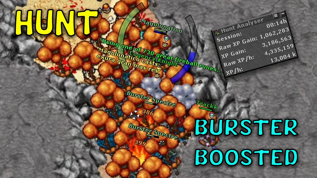 Tibia | Hunt: Burster Spectre (Boosted) 13KK XP/H | 1.6KK PROFIT/H ...