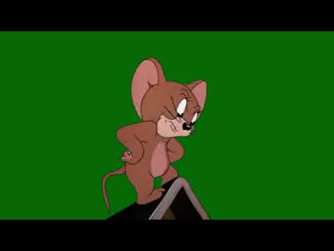 jerry thinking green screen - YouTube
