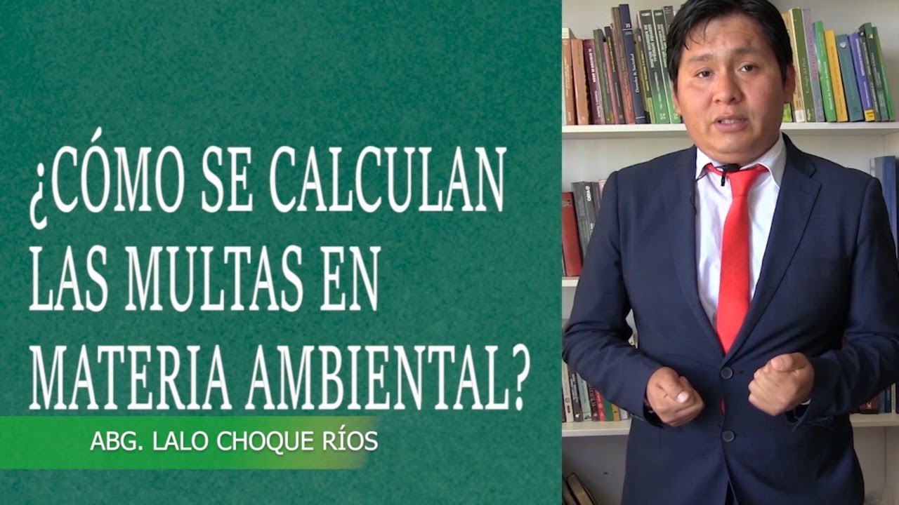 ¿CÓMO SE CALCULAN LAS MULTAS EN MATERIA AMBIENTAL - YouTube