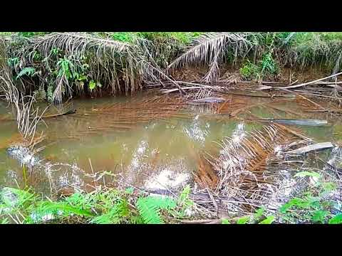 mancing gokil pakdeblo