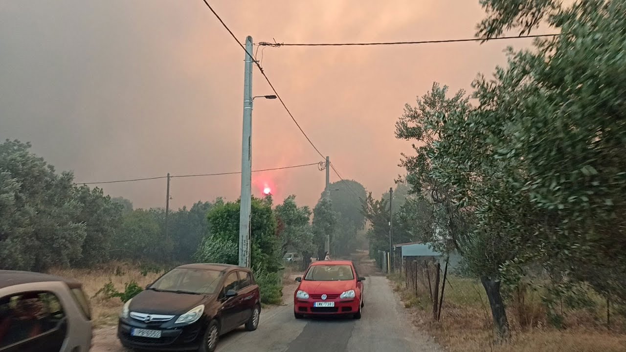 Η φωτια έχει περάσει κάτω απ' τη Μαραθώνος στο ύψος του νυχτερινου ...
