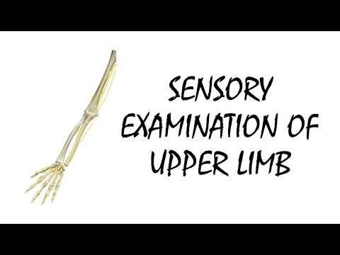 Sensory Examination of Upper Limb - YouTube