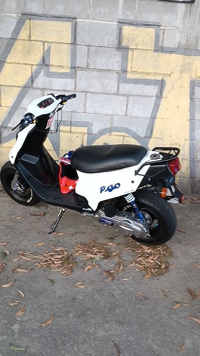 As 50tinhas Yamaha jog e Sundown Pgo - YouTube