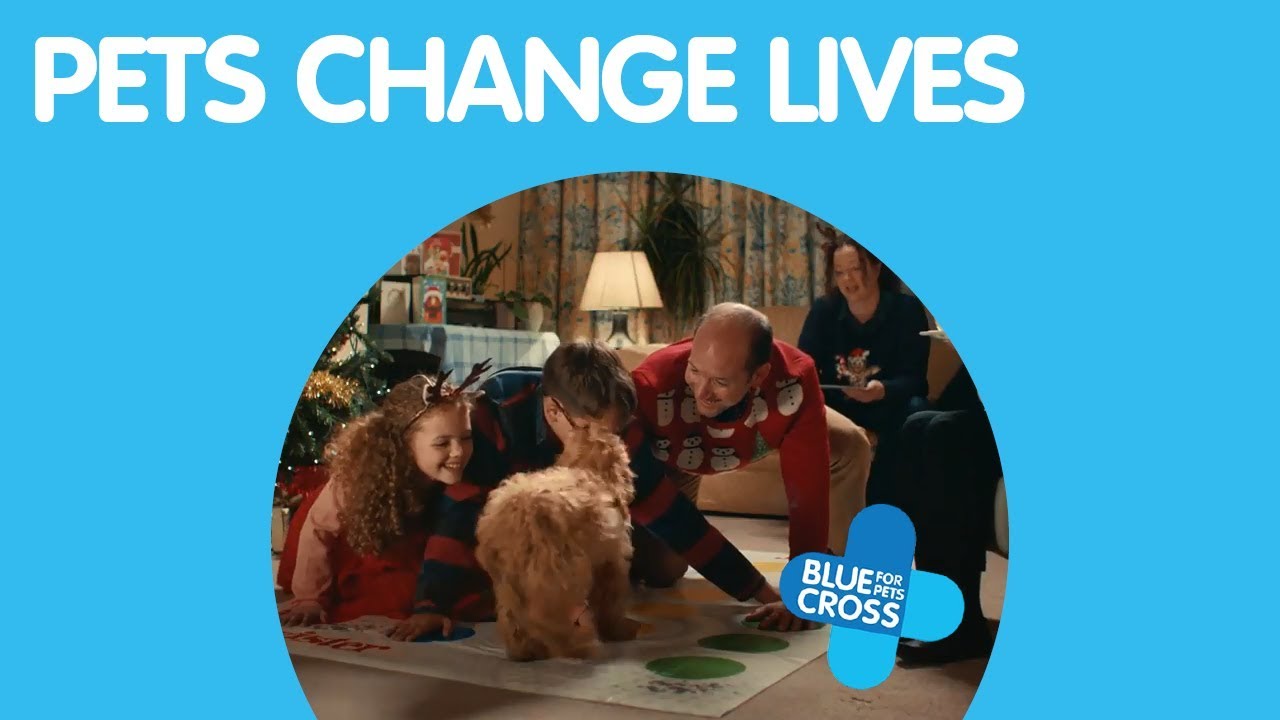 Blue Cross Charity Pets