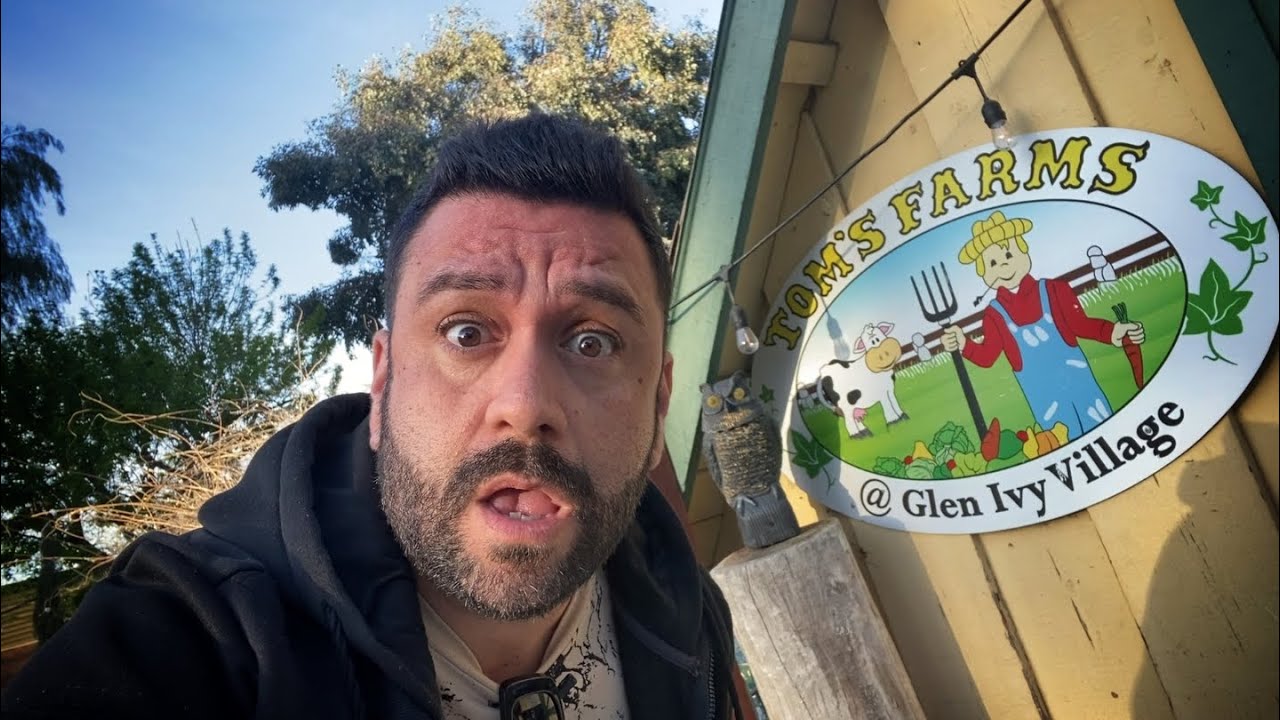 Checking out Tom’s Farms! - YouTube