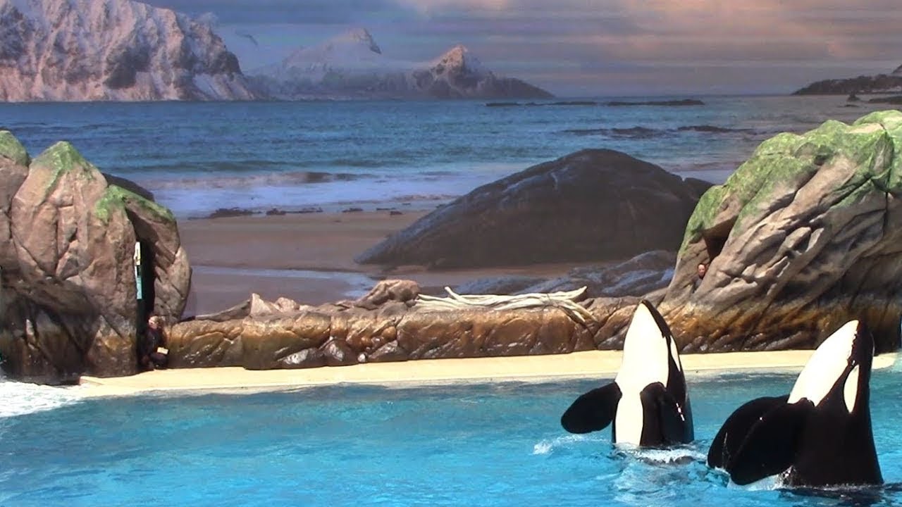 SeaWorld - Orca Encounter - Complete Soundtrack - YouTube