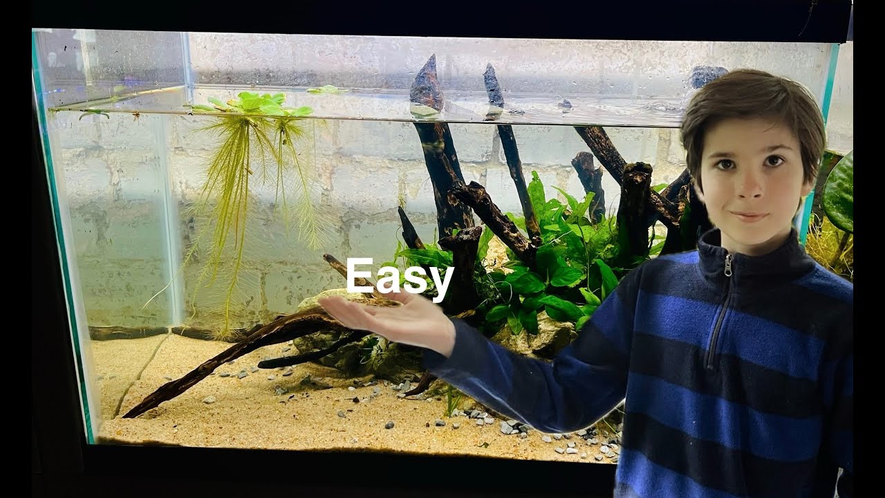 Fun Tank for Future Fish. - YouTube