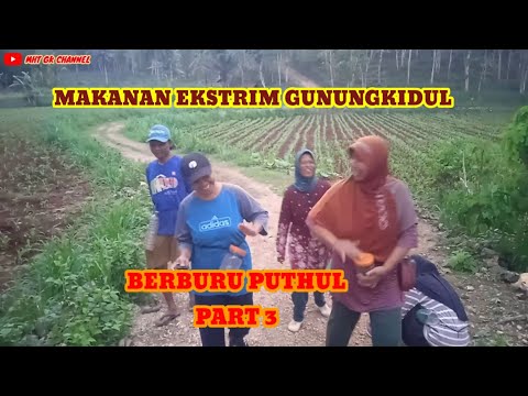 MAKANAN EKSTRIM GUNUNGKIDUL// BERBURU PUTHUL PART 3,BERSAMA EMAK-EMAK ...