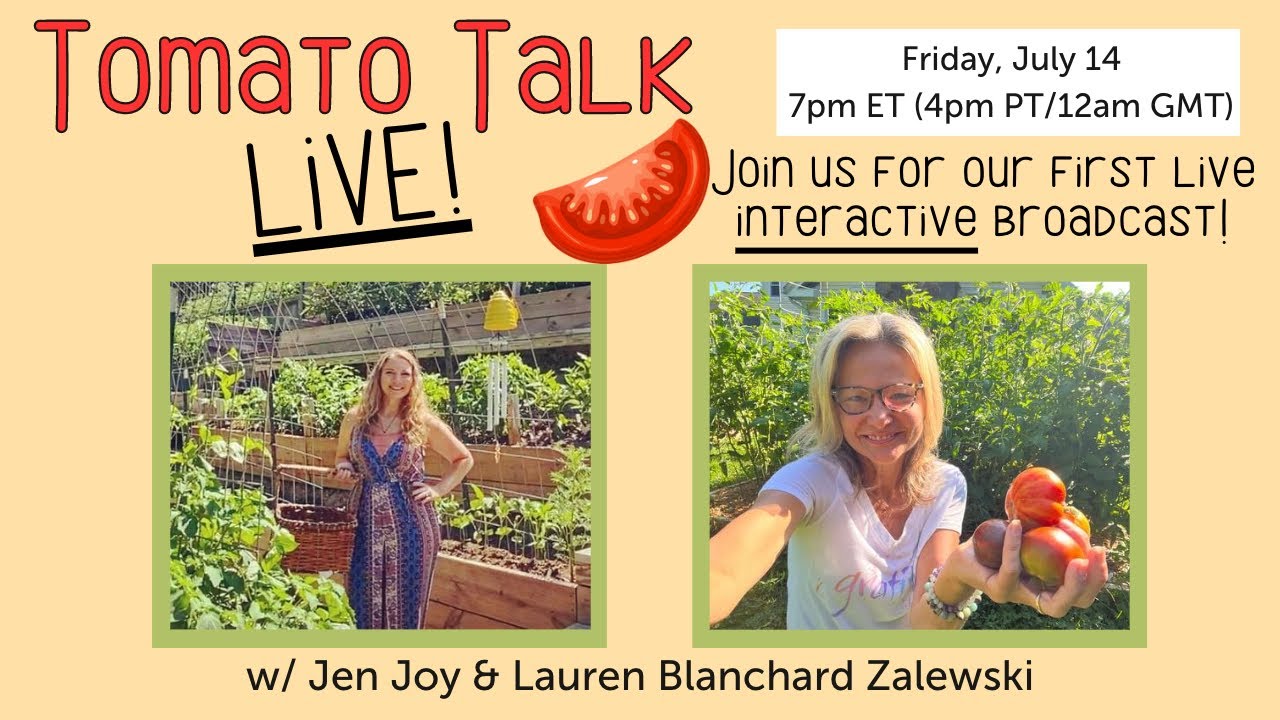 Tomato Talk Episode 1 - YouTube