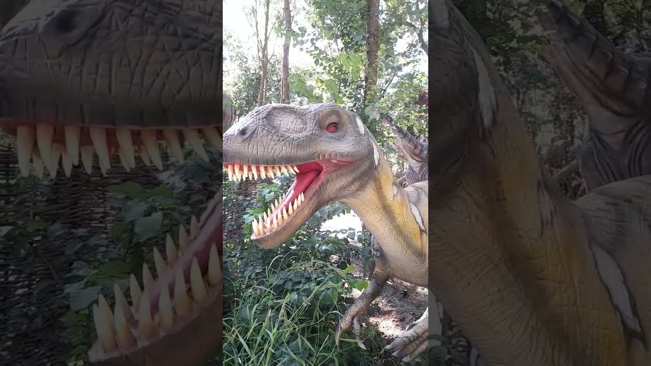 #ASMR Real Dinosaurs Dinozauri Reali - YouTube