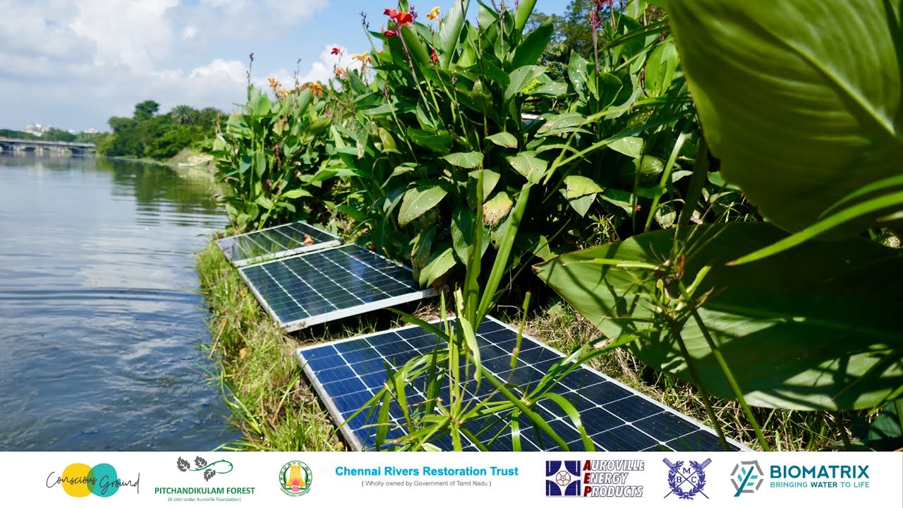 Floating Solar Ecosystems Help to Bring Polluted Rivers to Life - YouTube