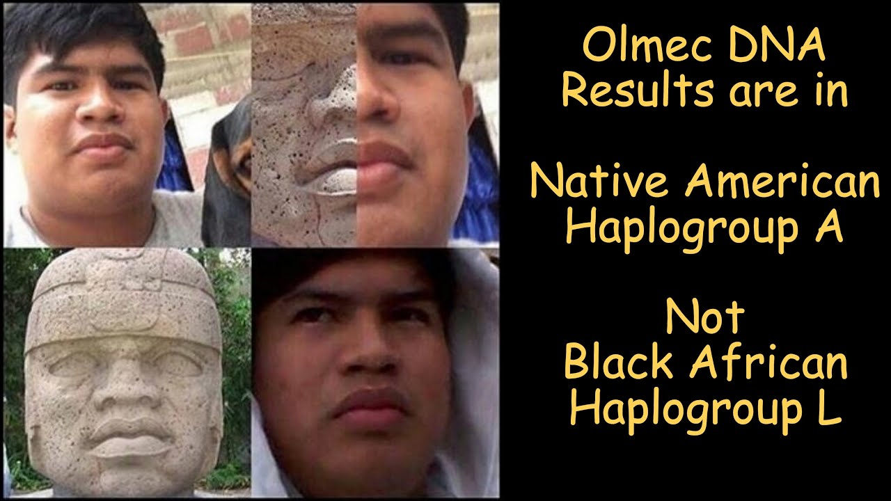 Olmec DNA Results, NATIVE AMERICAN, The Research Guy caught lying about ...