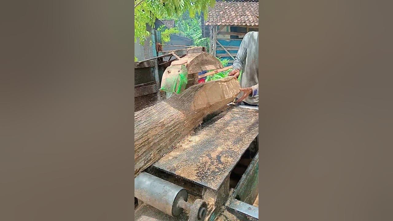 Merajang kayu jati !! Gergaji serkel keliling - YouTube