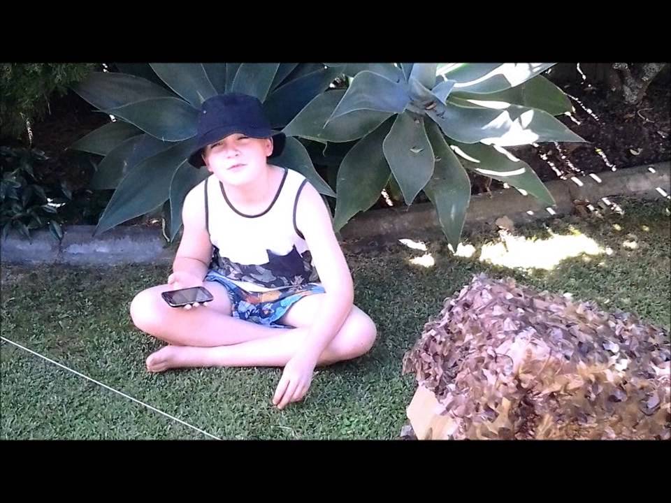 Hamster Hunting - YouTube