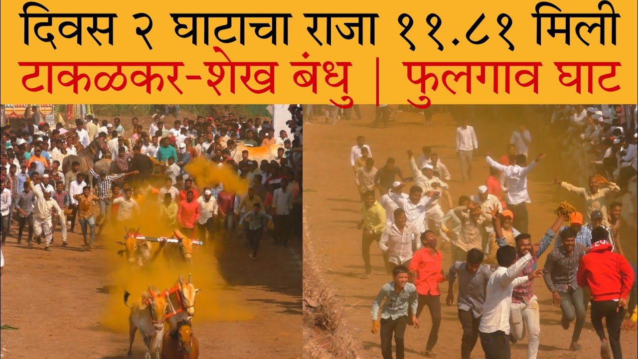 दिवस २| फुलगाव घाटाचा राजा| टाकळकर -शेख बंधु | ११.८१ मिली |fulgaon ...