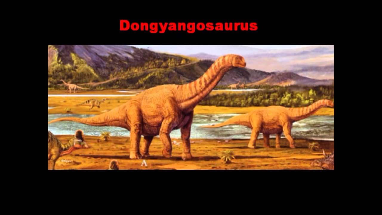 All Dinosaur Letter D's Characters - YouTube