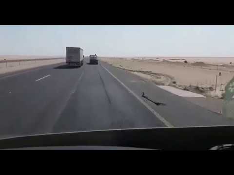 saudi arab truck driver / trela driver in saudi arabia / truck driving ...