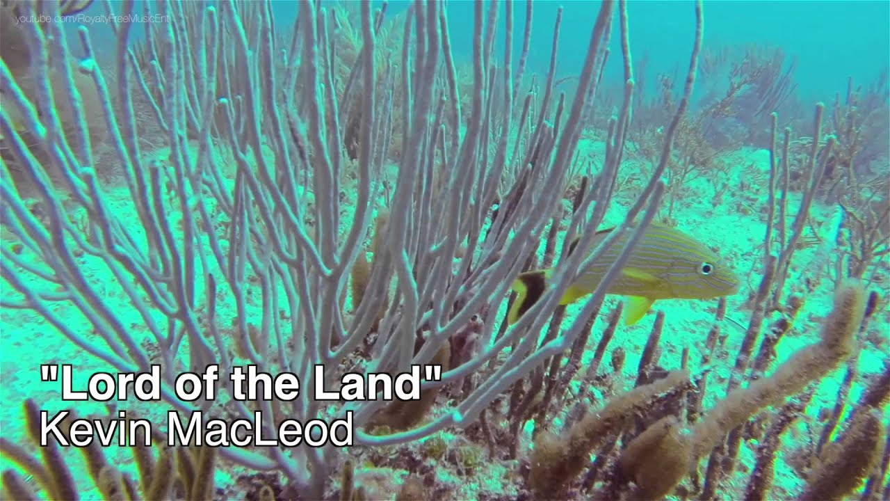 Lord of the Land by Kevin MacLeod | Royalty Free Music - YouTube