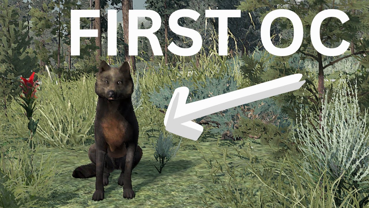 Meet our Wolfquest OC: Doodlebug! - YouTube