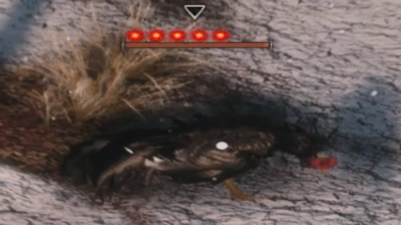 SEKIRO EPIC ROOSTER BOSS FIGHT!!!!!! PARRY/SHINOBI DEATHBLOWS ONLY ...