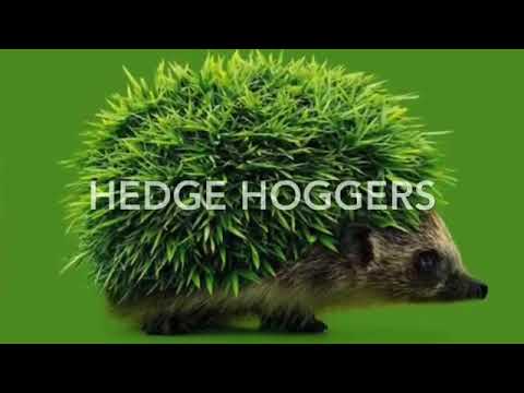 $5 Kmart Challenge Part 2 - YouTube