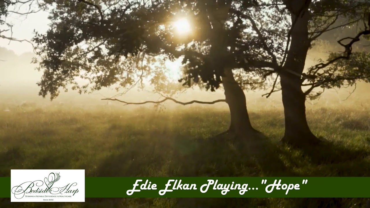 Harp Music Meditation | Original Song Hope by Edie Elkan Bedside Harp ...