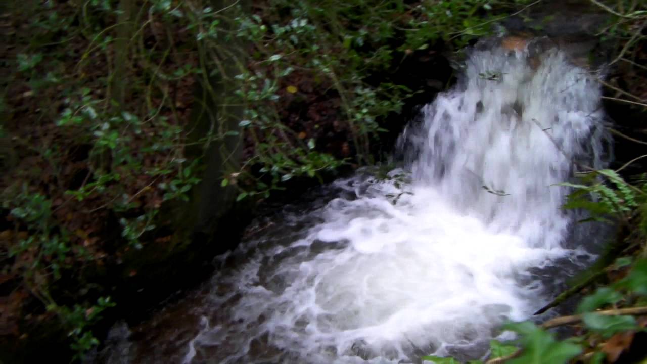River Holford by Holford Bridge - YouTube