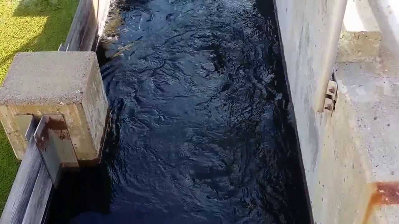 Chlorine contact tank flow pattern - YouTube