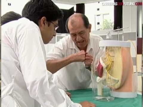 Alumnos de Medicina Humana nos hablan de su carrera | USMP - YouTube