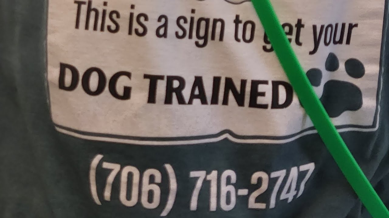 Lets talk about Pack Leader, Alpha, Genetics, Structure and Dog ...