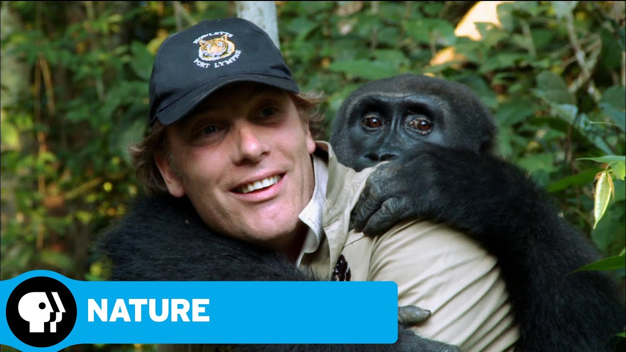 NATURE | Animal Renunions | Preview | PBS - YouTube