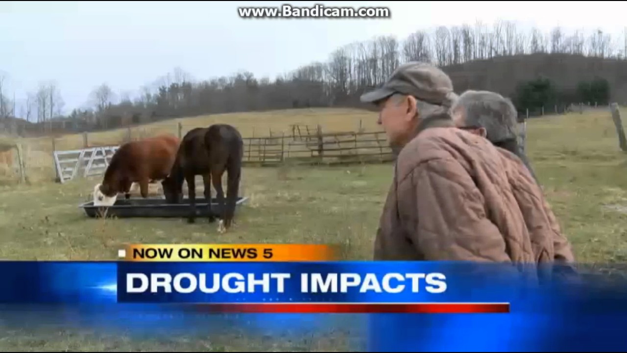 WCYB: News 5 Tonight Open--12/14/16 - YouTube